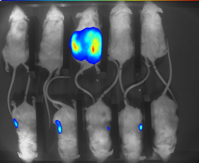 Products - Biospacelab