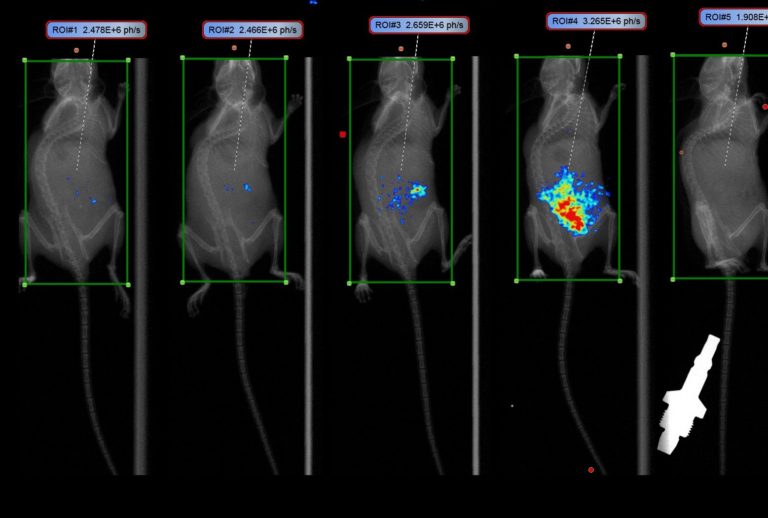 Products - Biospacelab